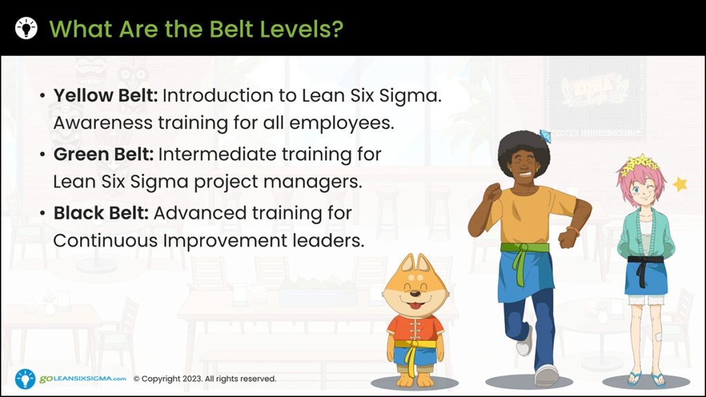 Lean Six Sigma Process Improvement | GoLeanSixSigma.com