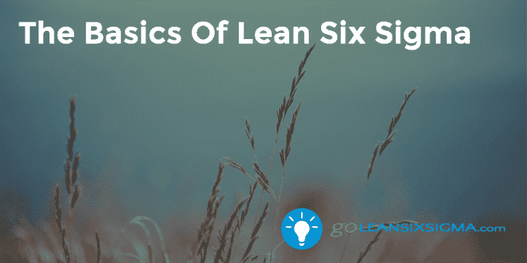 The Basics Of Lean Six Sigma - GoLeanSixSigma.com (GLSS)