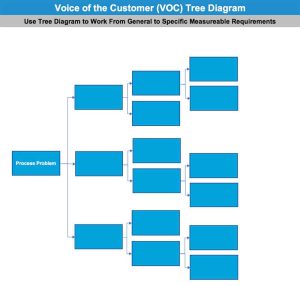 Voice of the Customer (VOC) Tree Diagram - GoLeanSixSigma.com (GLSS)
