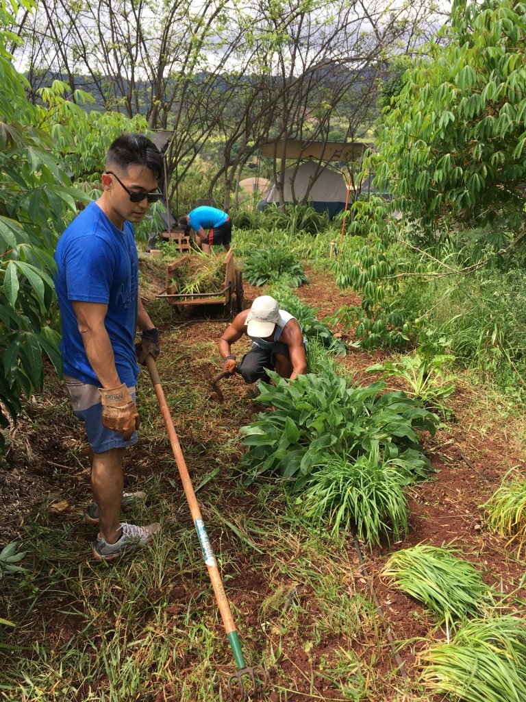 GoLeanSixSigma.com Helps Foster Healthy Communities in Hawaii With ...