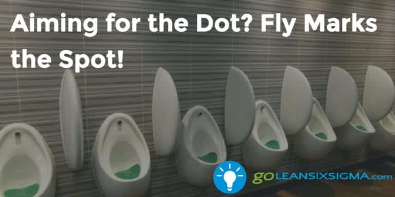 Aiming for the Dot? Fly Marks the Spot! | GoLeanSixSigma.com