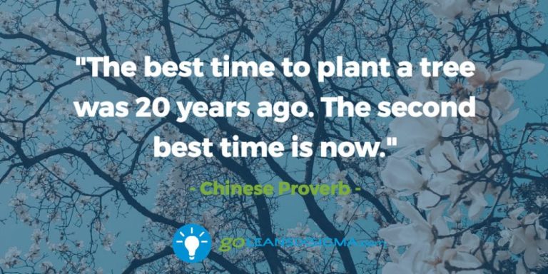 "The best time to plant a tree was 20 years ago. The second best time ...