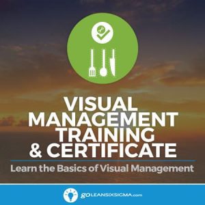 Visual Management - GoLeanSixSigma.com (GLSS)