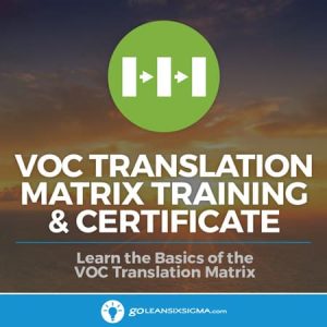 Voice of the Customer (VOC) Translation Matrix - Template & Example