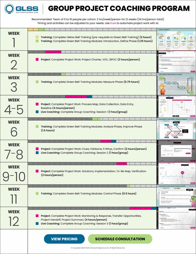 Group Project Coaching | GoLeanSixSigma.com